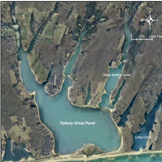 Great Pond West Tisbury MA | Martha's Vineyard